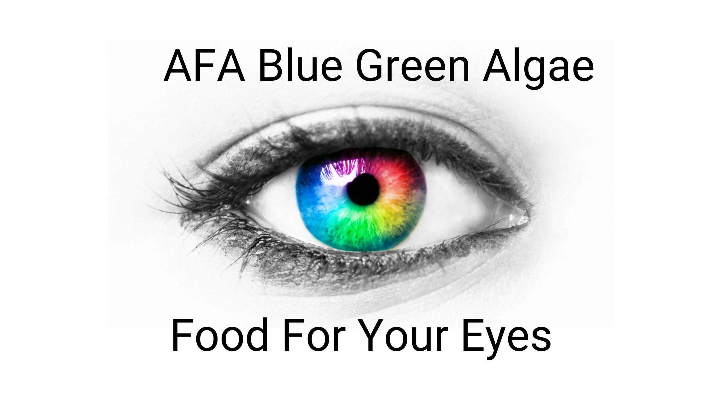AFA Your Life Essential Daily Superfood for Enhanced Eye and Overall H ...